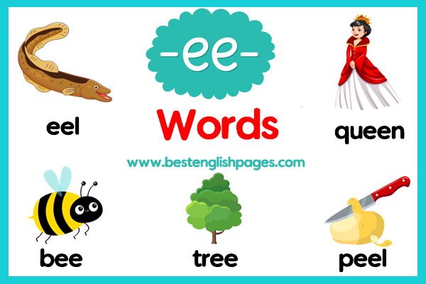 What Are Words With EE In Them 900 EE Words With Sentence Examples What Are Words With EE In Them 900 EE Words With Sentence Examples